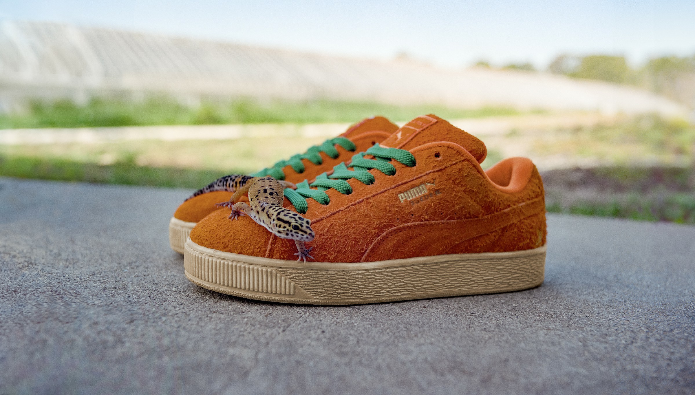 PUMA x Carrots by Anwar Carrots 全新聯名系列發售